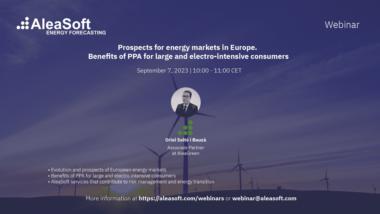 Prospects for energy markets in Europe. Benefits of PPA for large and ...